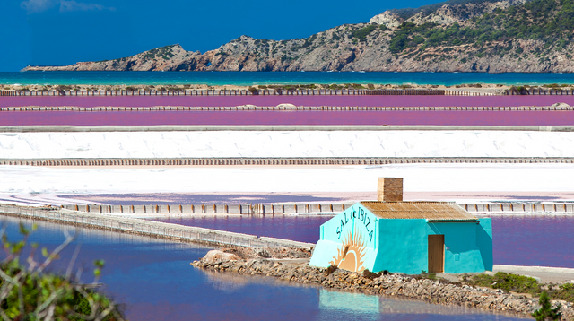 Ibiza salt – SAL de IBIZA